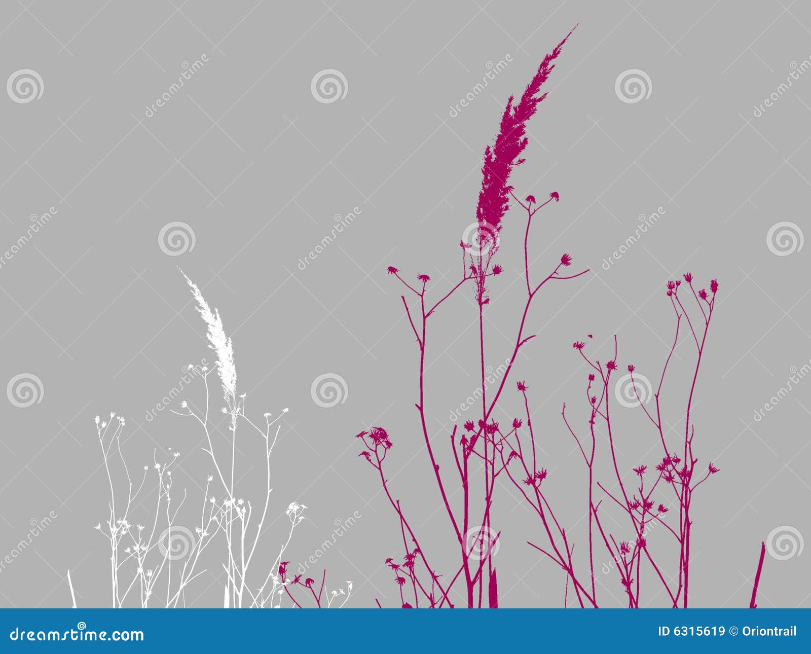 Illustrated dry grass stock illustration. Illustration of draw - 6315619