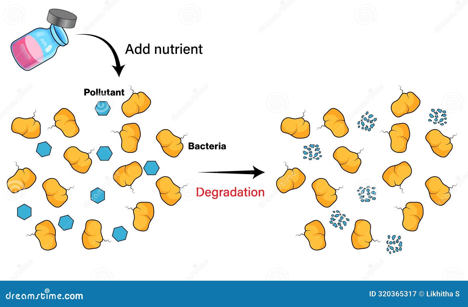 An Illustrated Exploration Of Biostimulation Techniques For Microbial ...