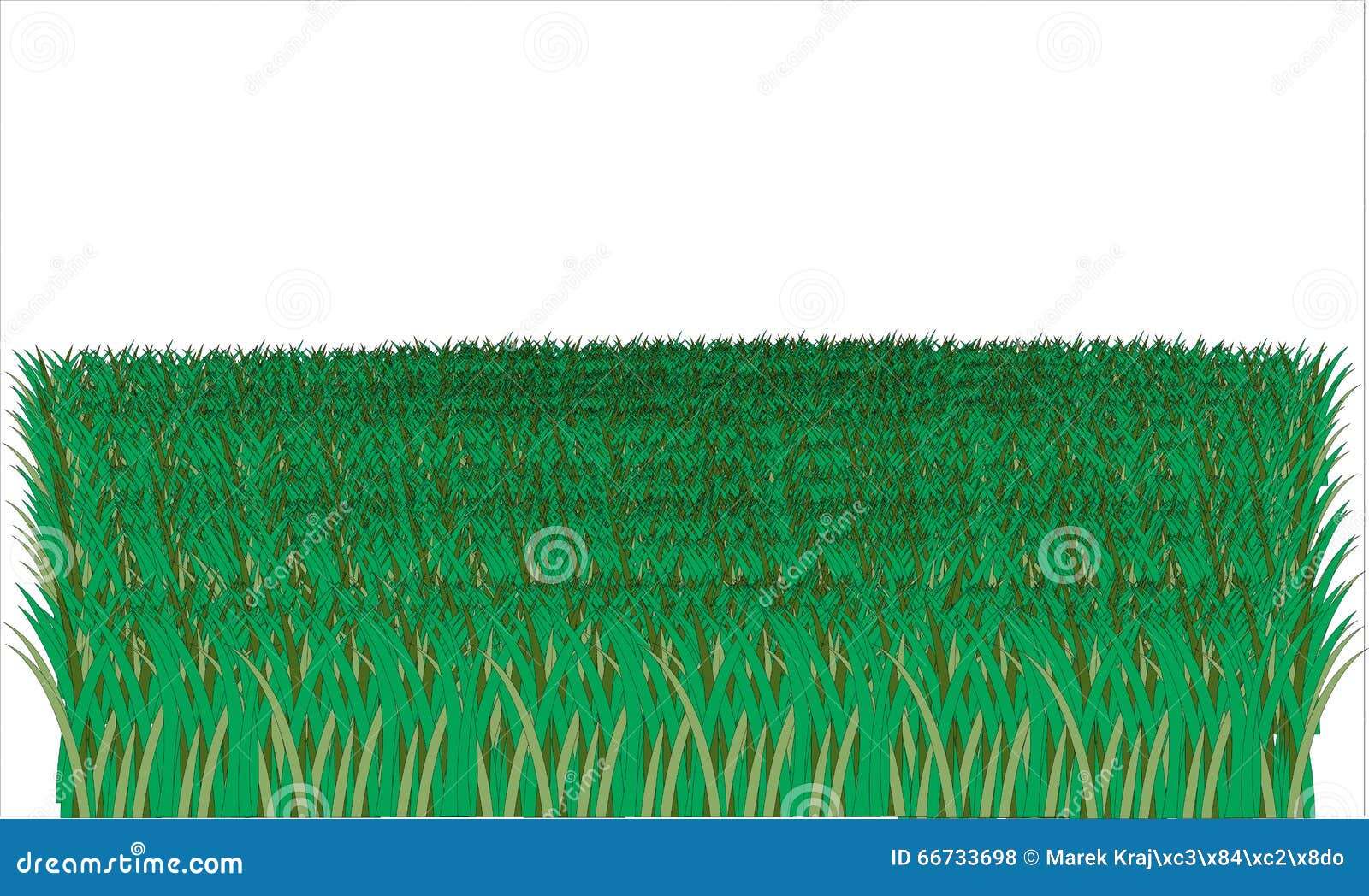 Illustrated Grass On White Background Stock Vector - Illustration of ...