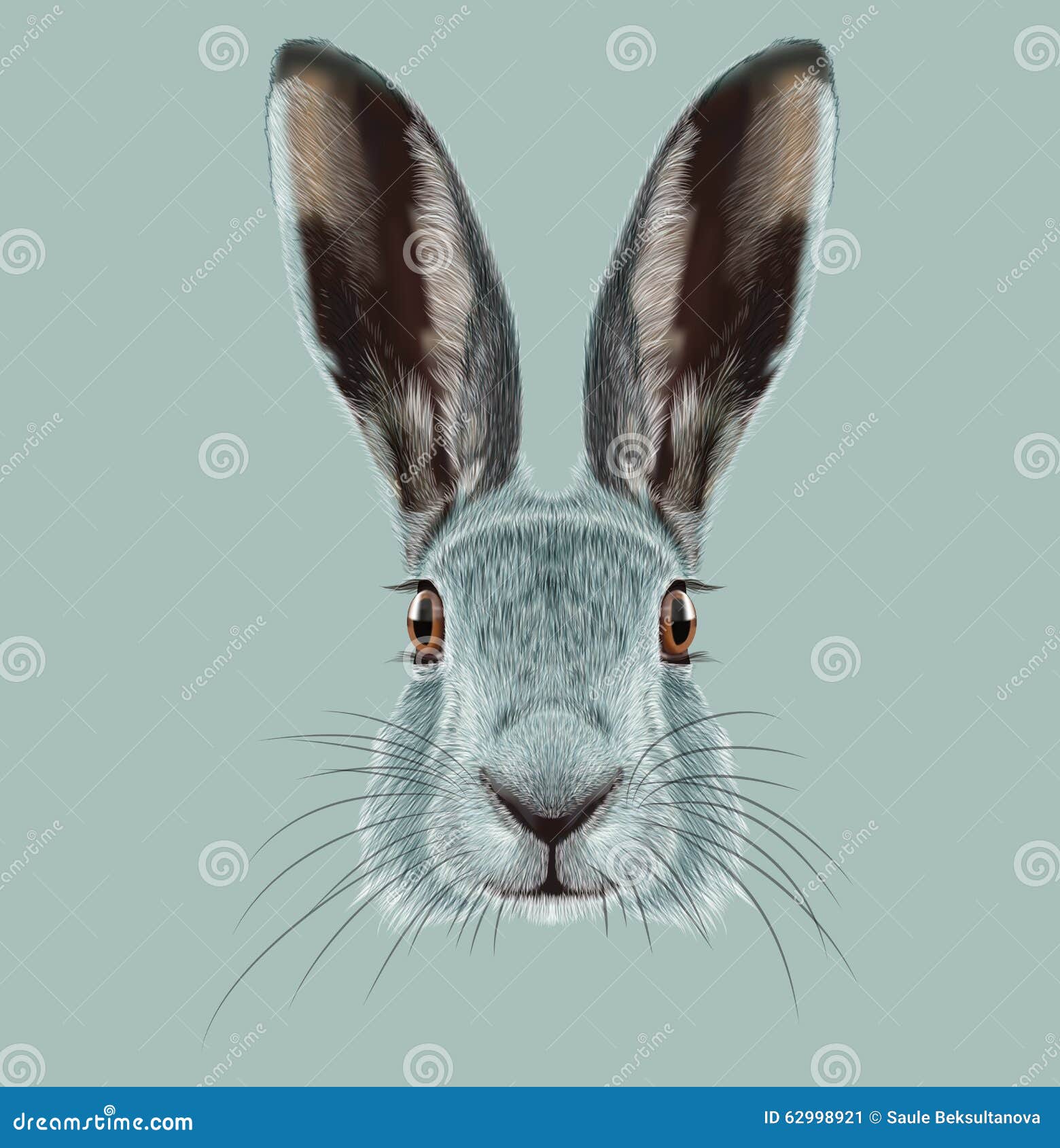 Illustrated Portrait of Hare. Stock Illustration - Illustration of ...