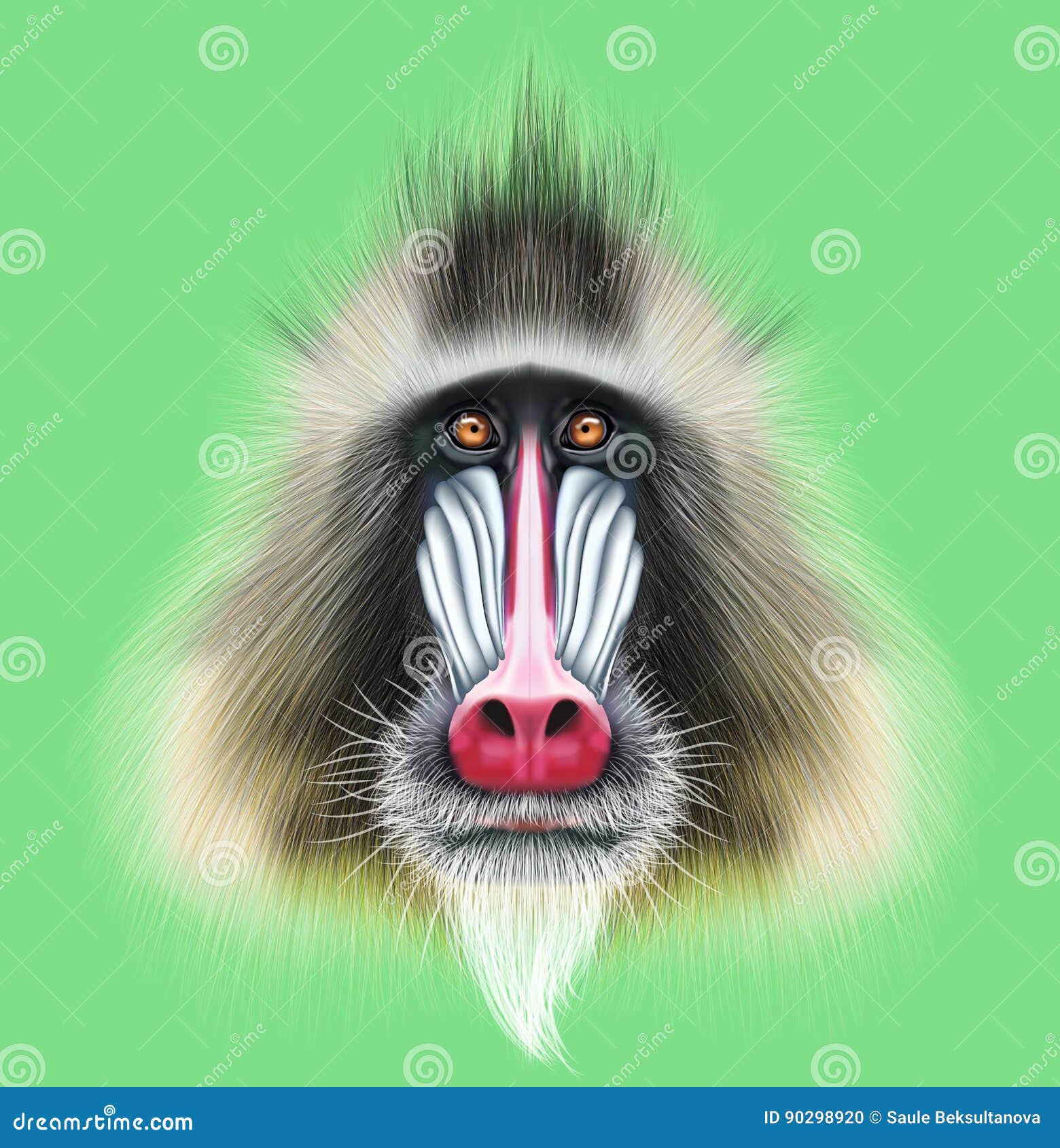 Illustrated Portrait of Mandrill Monkey. Stock Illustration ...