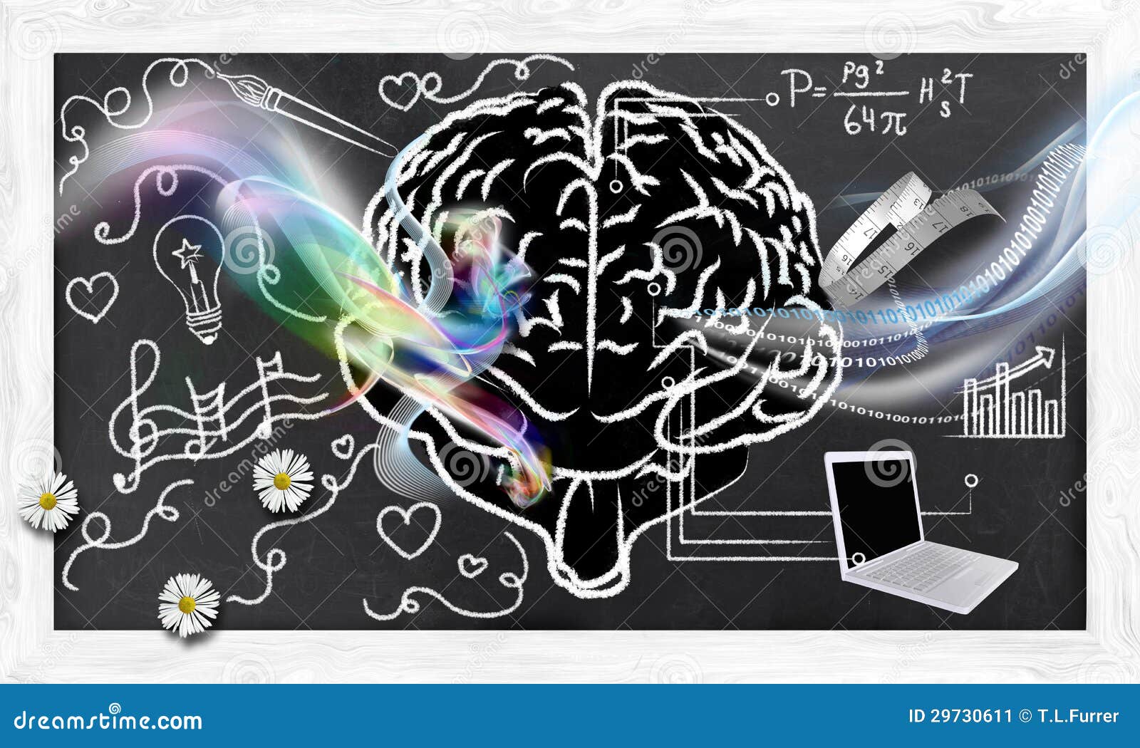 Skills for Right and Left Brain Stock Illustration - Illustration of ...