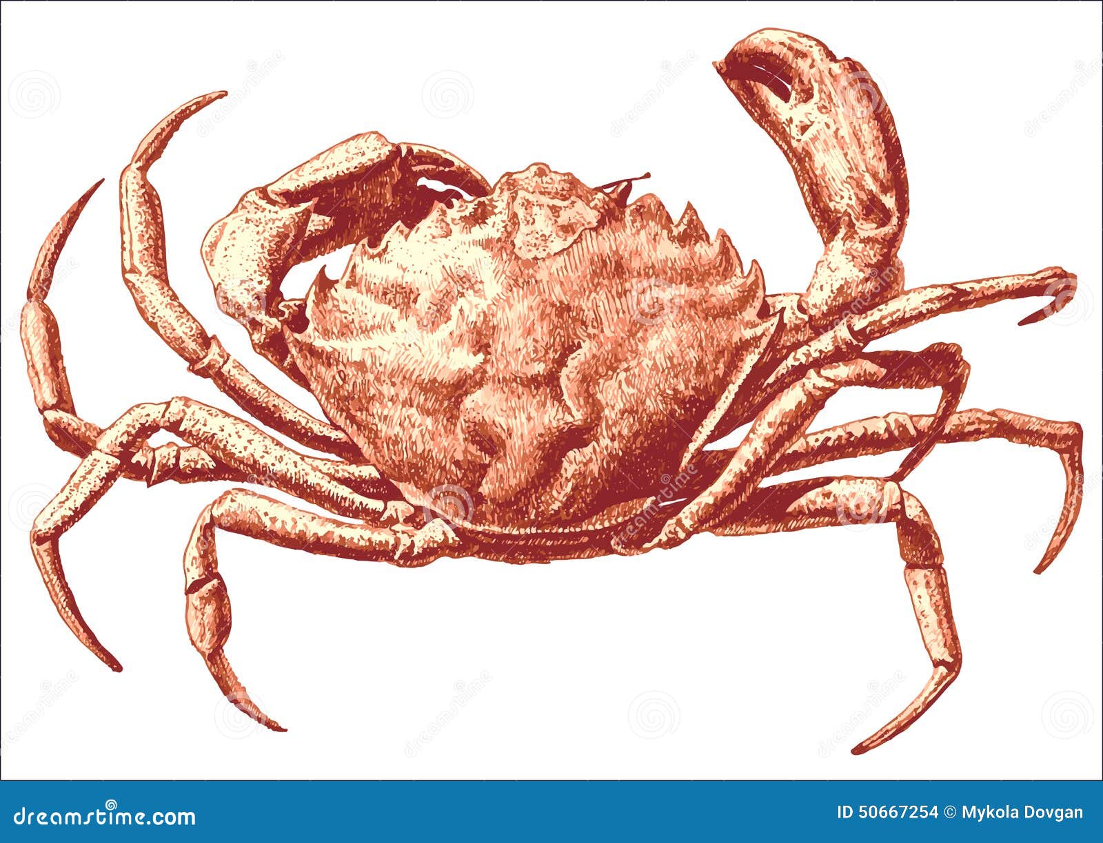 Illustratie Met Een Grote Krab Vector Illustratie - Illustration of ...