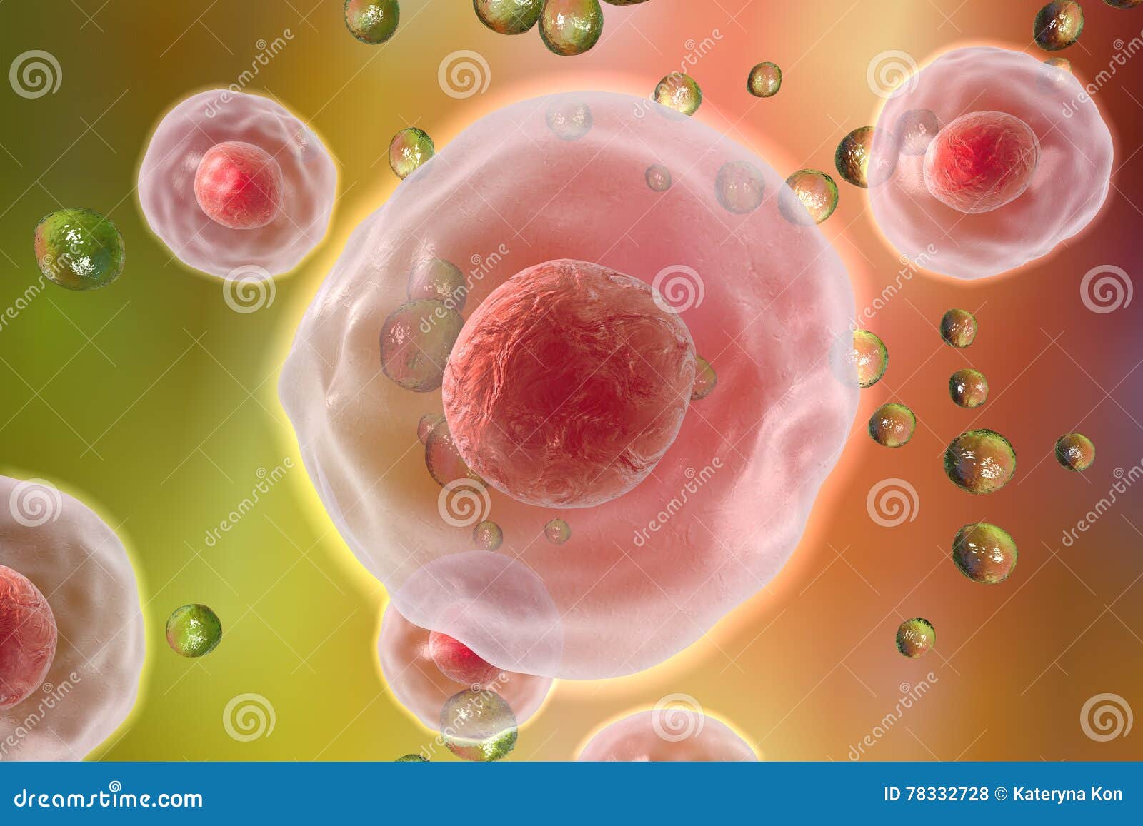 Illustratiion Delle Cellule Umane Illustrazione di Stock ...