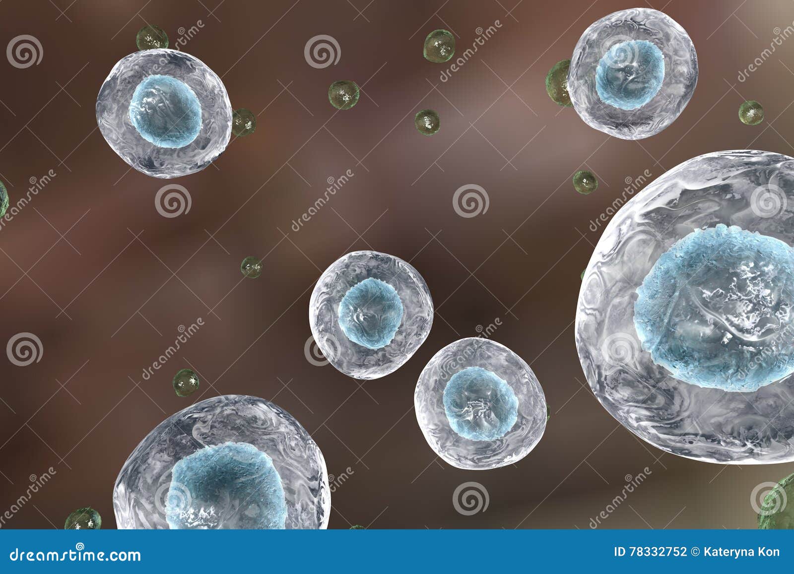 Illustratiion Delle Cellule Umane Illustrazione di Stock ...