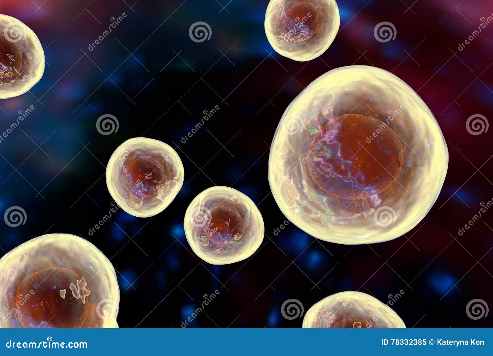 Illustratiion Des Cellules Humaines Illustration Stock - Illustration ...