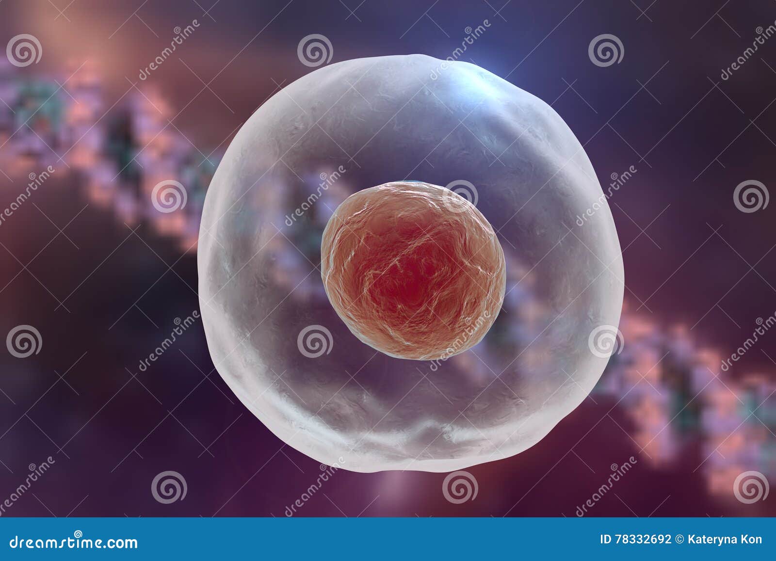 Illustratiion Des Cellules Humaines Illustration Stock - Illustration ...