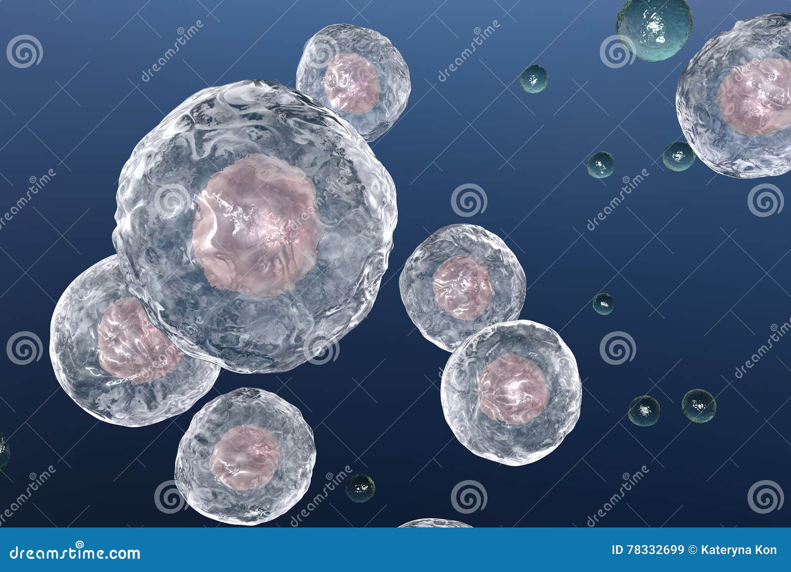 Illustratiion Des Cellules Humaines Illustration Stock - Illustration ...