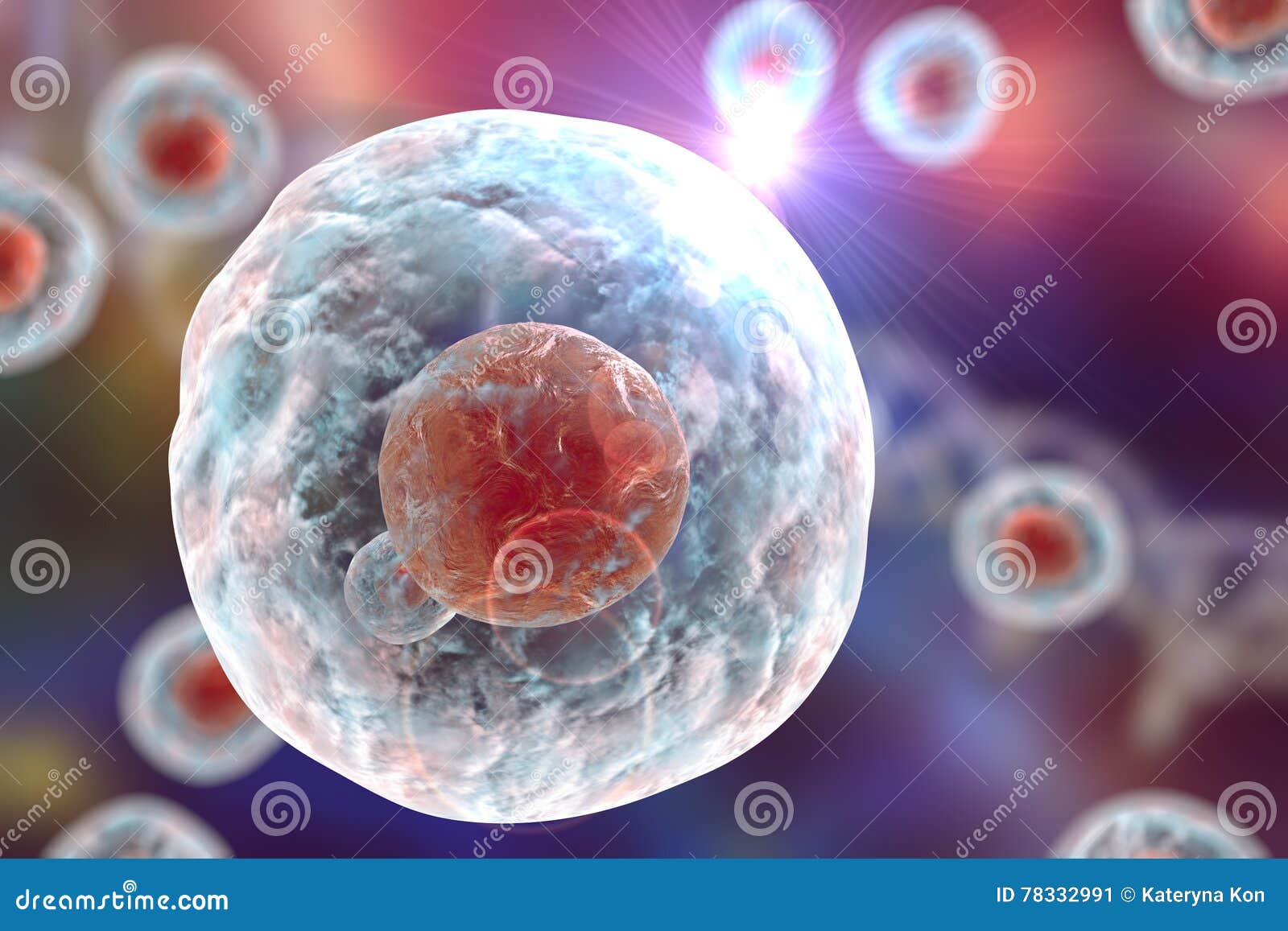 Illustratiion Des Cellules Humaines Illustration Stock - Illustration ...