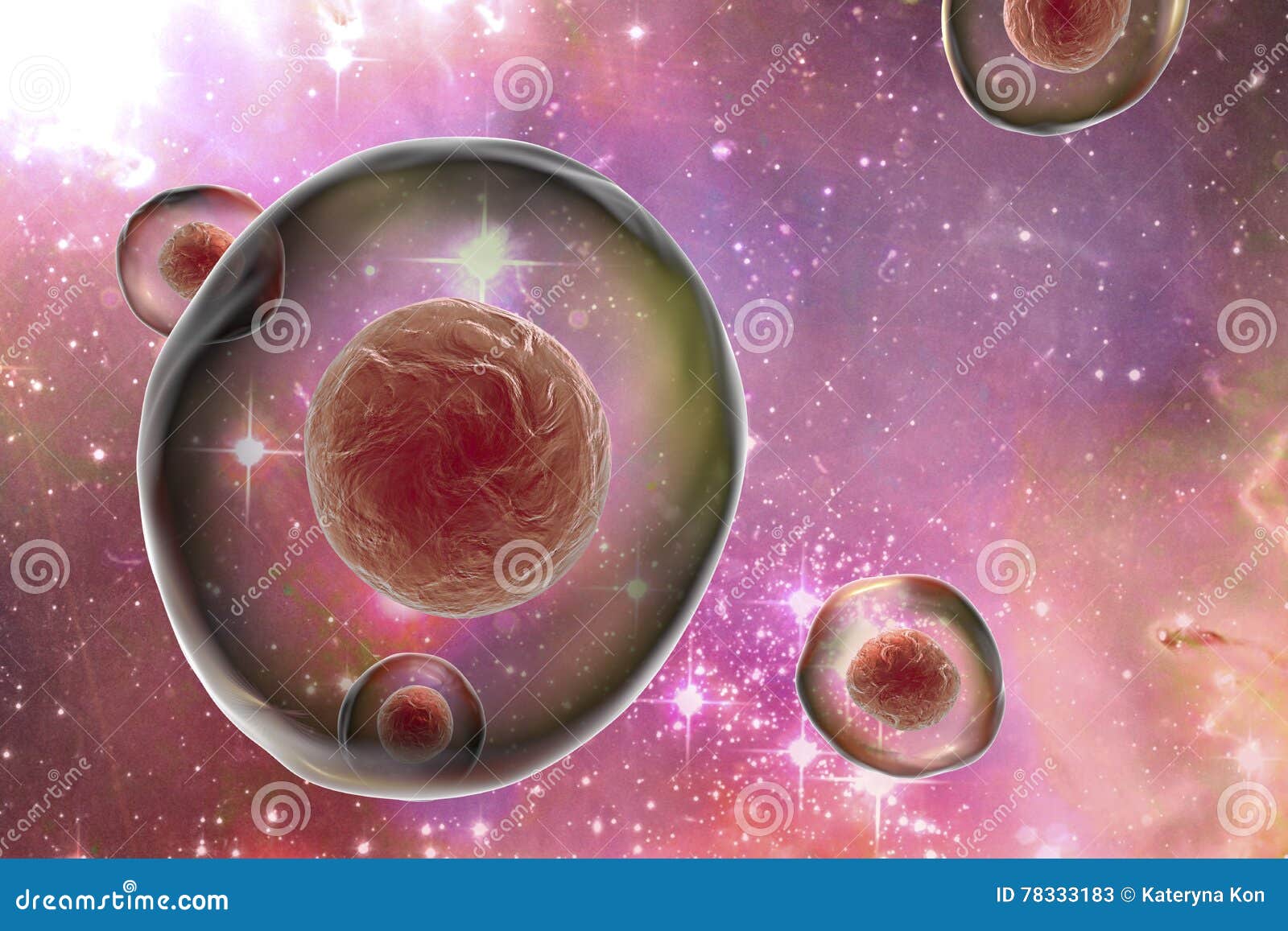 Illustratiion Des Cellules Humaines Illustration Stock - Illustration ...