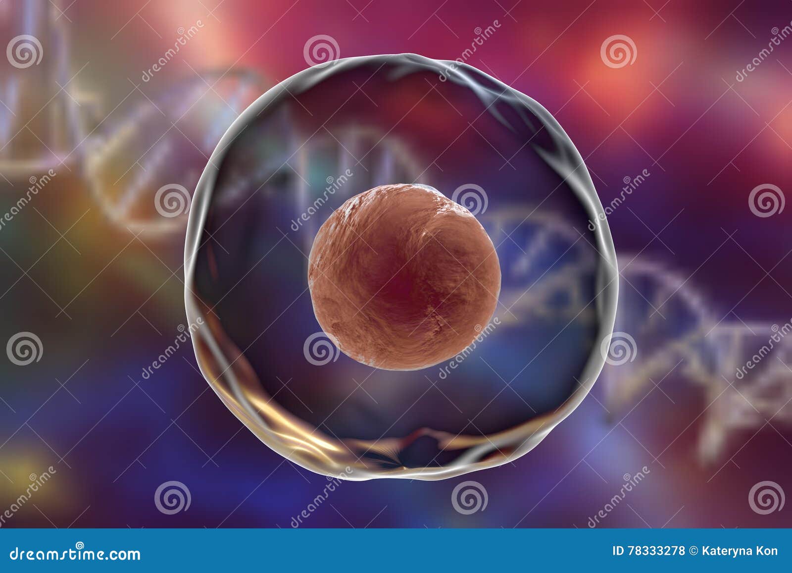 Illustratiion Des Cellules Humaines Illustration Stock - Illustration ...