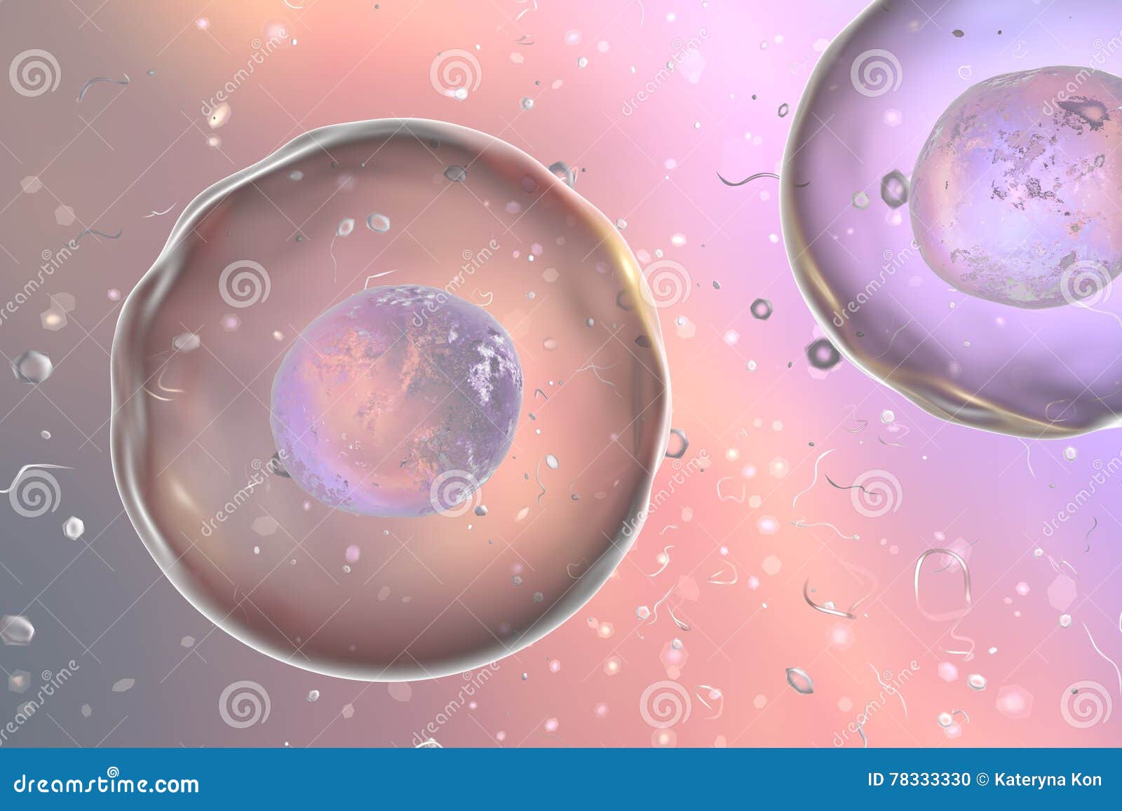 Illustratiion Des Cellules Humaines Illustration Stock - Illustration ...