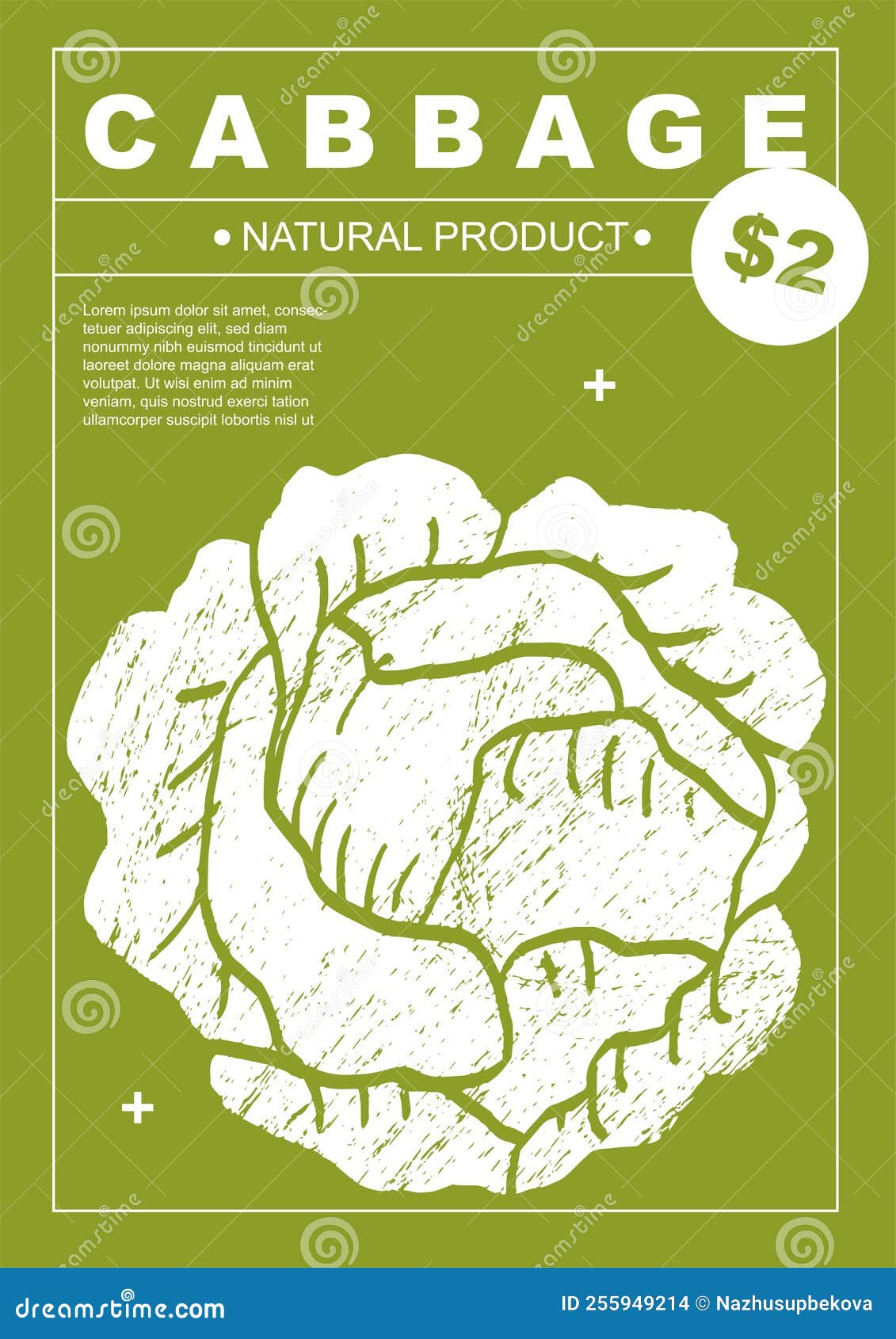 Cabbage. Set of Posters of Fruits and Vegetables in a Abstract Draw ...