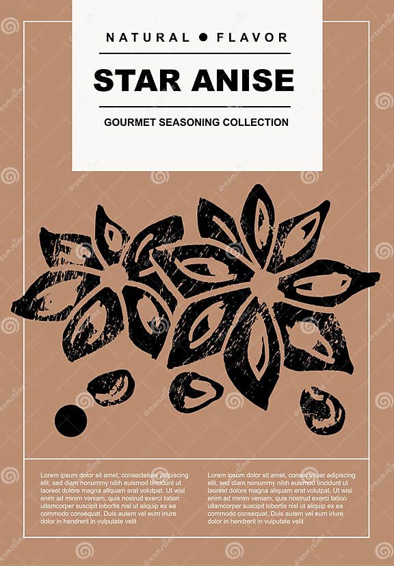 Star Anise. Set of Posters of Spices, Herbs, Organic Product in a ...