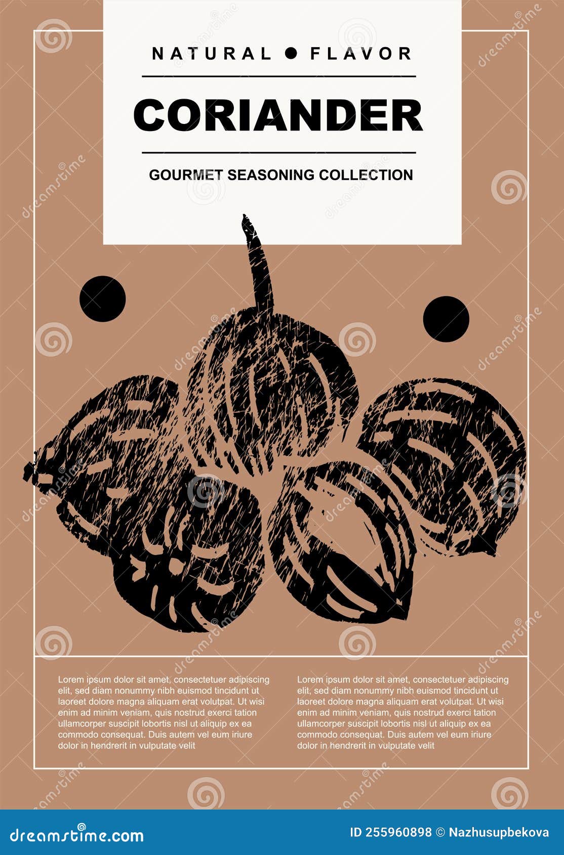 Coriander. Set of Posters of Spices, Herbs, Organic Product in a ...