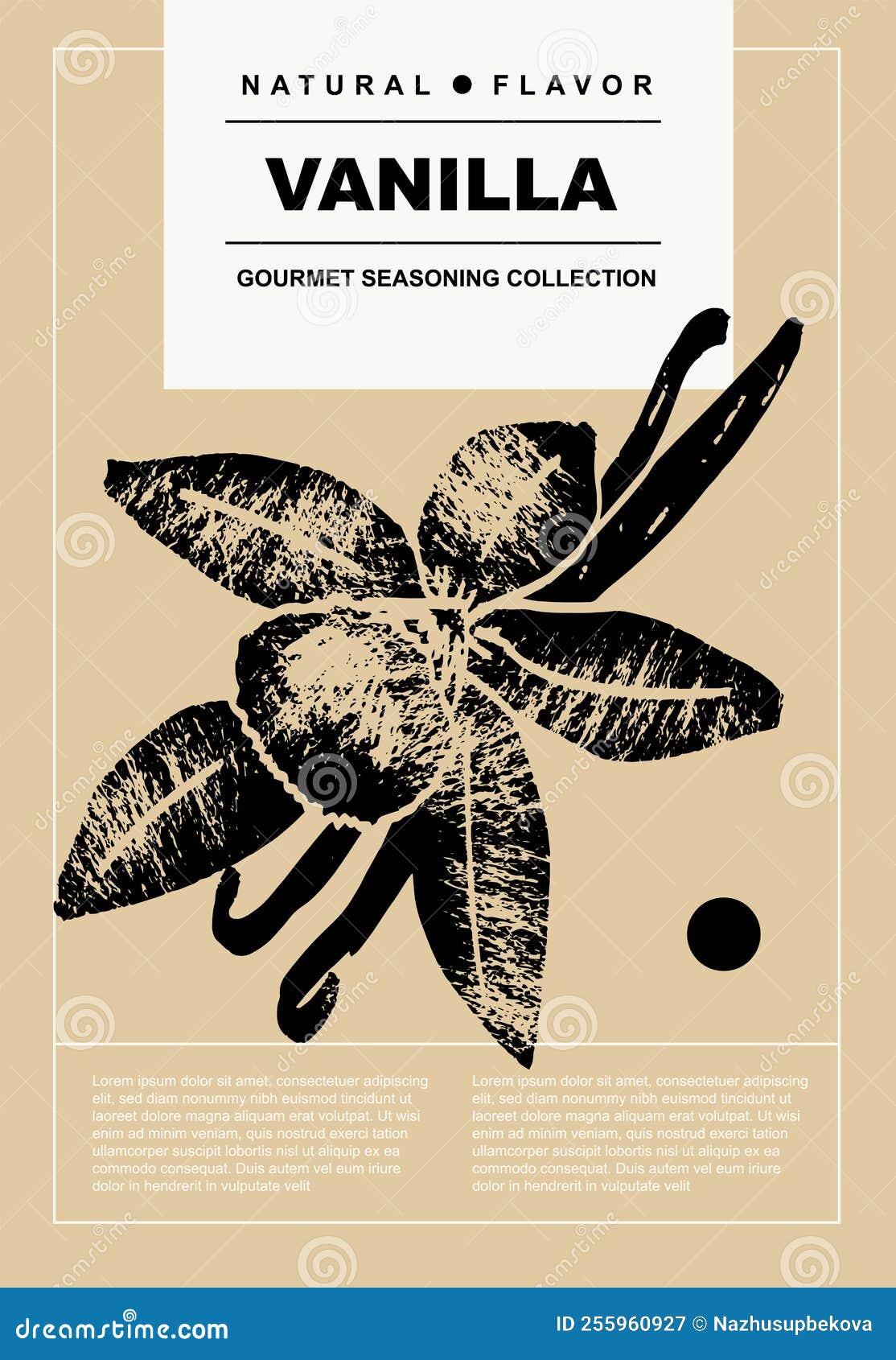 Vanilla. Set of Posters of Spices, Herbs, Organic Product in a Abstract ...