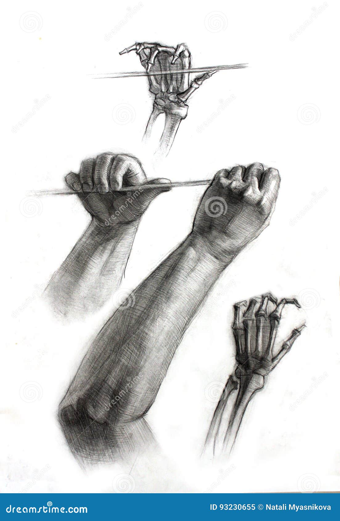Academic Drawing Hand
