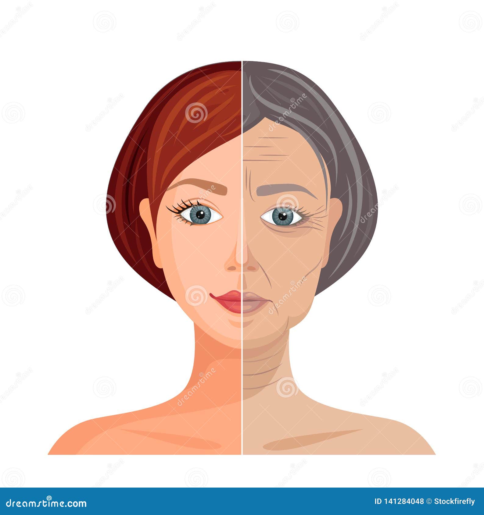 Illustration of an Aging Face. the Process of Withering Skin. Vector ... Illustration of an Aging Face. the Process of Withering Skin. Vector ...