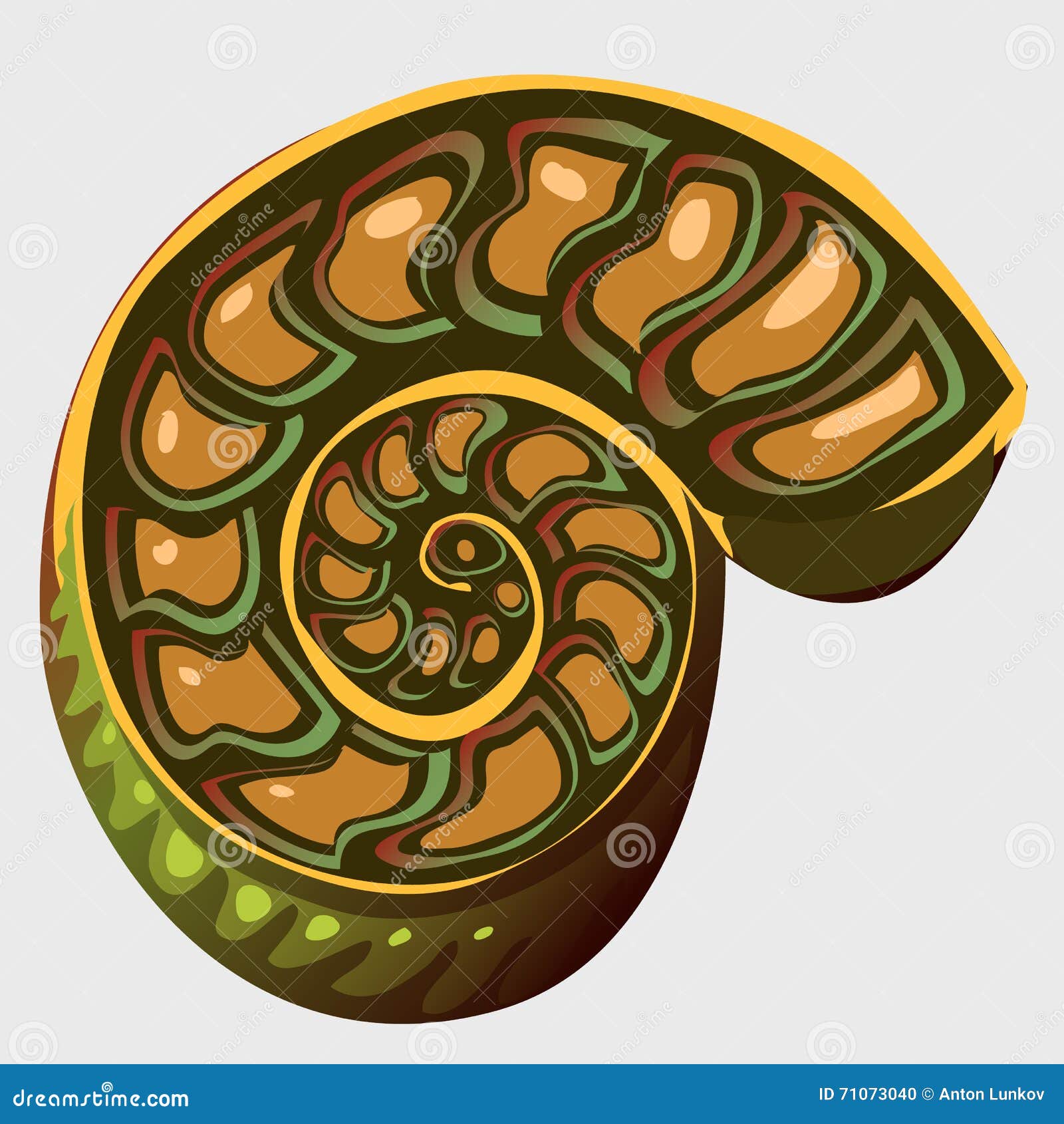 Illustration of the Ancient Ammonite Stock Vector - Illustration of ...