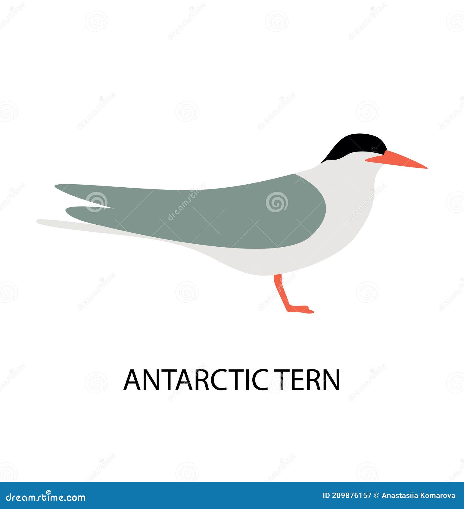Illustration with Antarctic Tern. Cute Cartoon Character Stock Vector ...