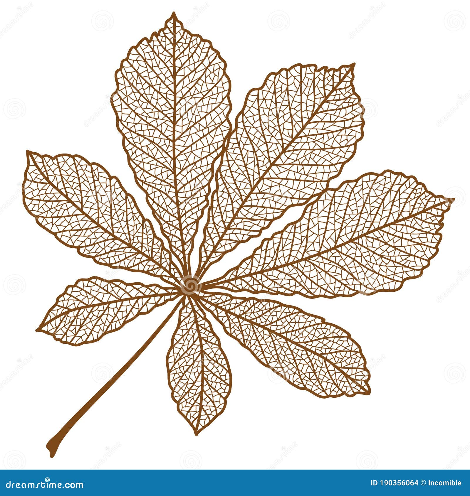 Illustration of Autumn Chestnut Leaf. Stock Vector - Illustration of ...