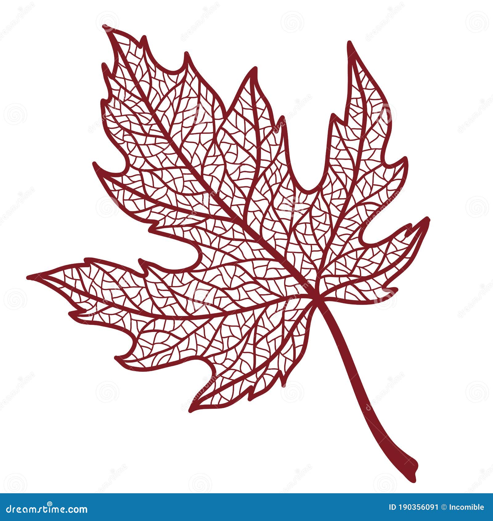 Illustration Maple Leaf Veins Stock Illustrations – 319 Illustration ...