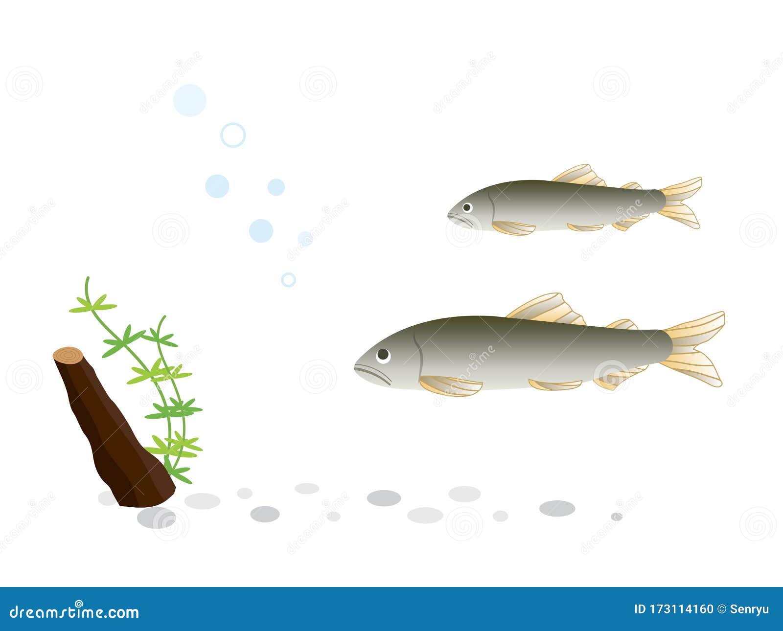 Ayu Cartoons, Illustrations & Vector Stock Images - 69 Pictures to ...