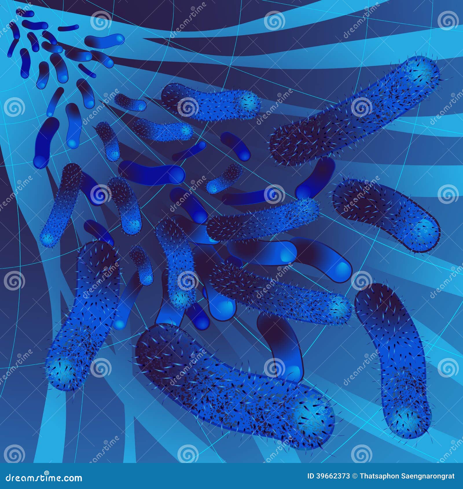 Illustration Of Bacteria Bacterium Stock Vector - Illustration of ...