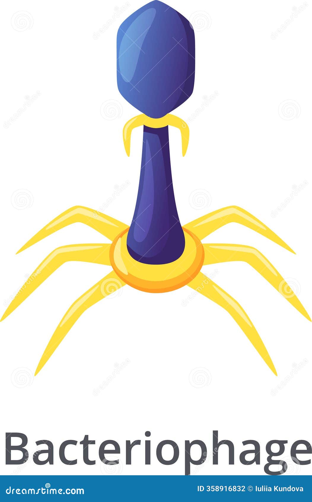 Phage Display Blue Gradient Concept Icon Cartoon Vector | CartoonDealer.com #342157529