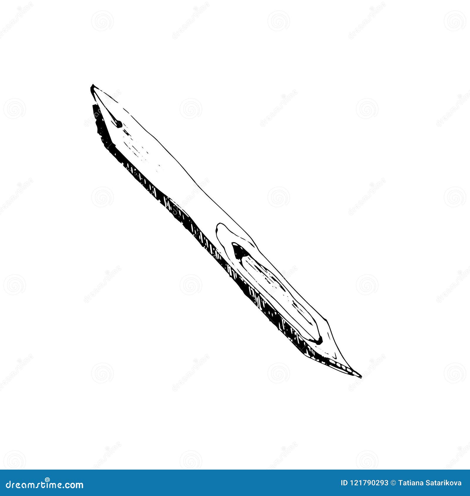 Illustration of Bamboo Reed Pen Stock Vector - Illustration of bamboo ...