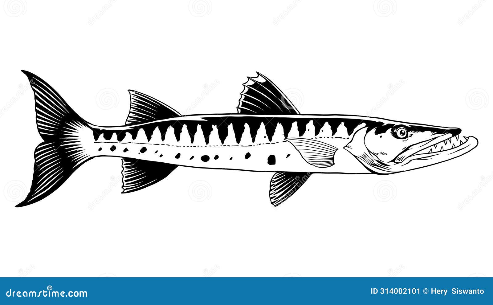 Barracuda Fish Logo Icon Designs Illustration | CartoonDealer.com ...