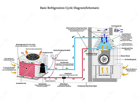 Basic Refrigeration Cycle Illustration with Process Stock Illustration ...
