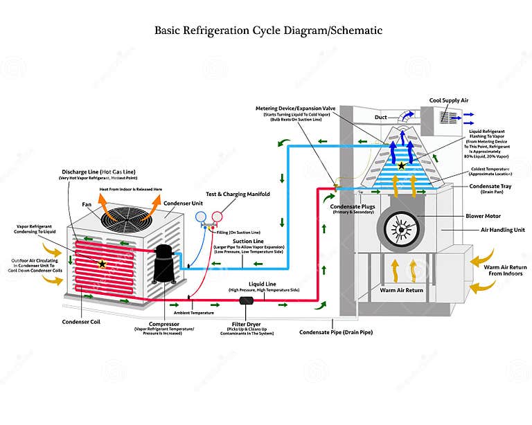 Basic Refrigeration Cycle Illustration with Process Stock Illustration ...