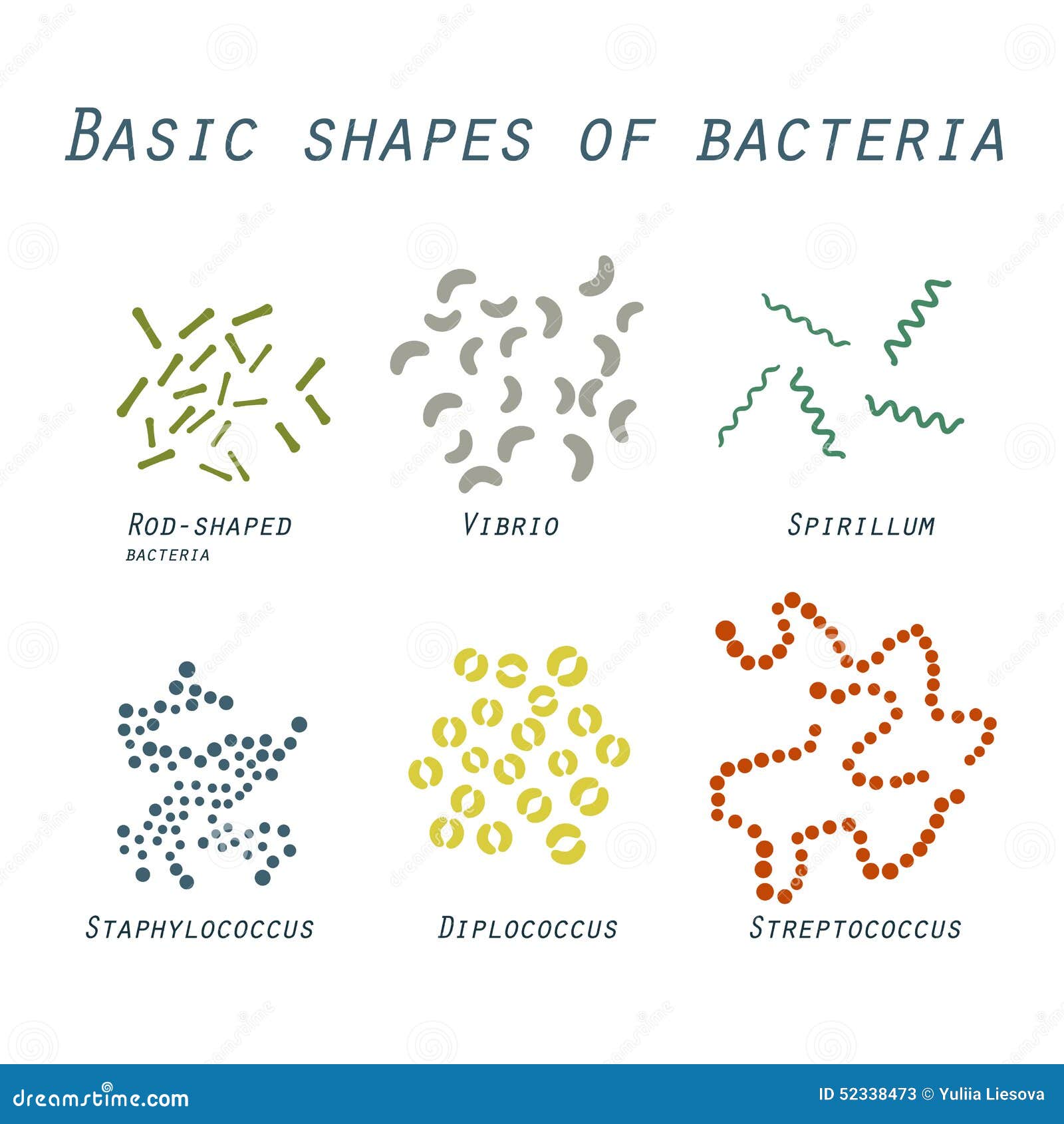 Illustration of Basic Shapes of Bacteria in Flat Design Stock Vector ... Illustration of Basic Shapes of Bacteria in Flat Design Stock Vector ...