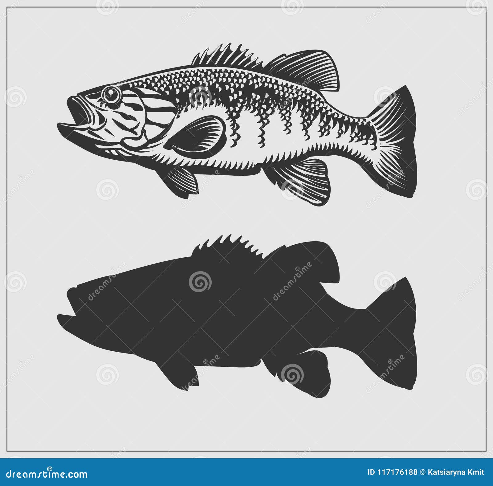 Bass fish illustration. stock vector. Illustration of hand - 117176188