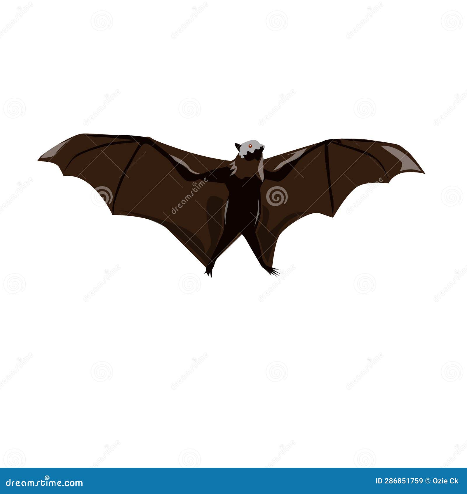 Illustration of a Bat Flying with Wings Spread at Night Stock ...