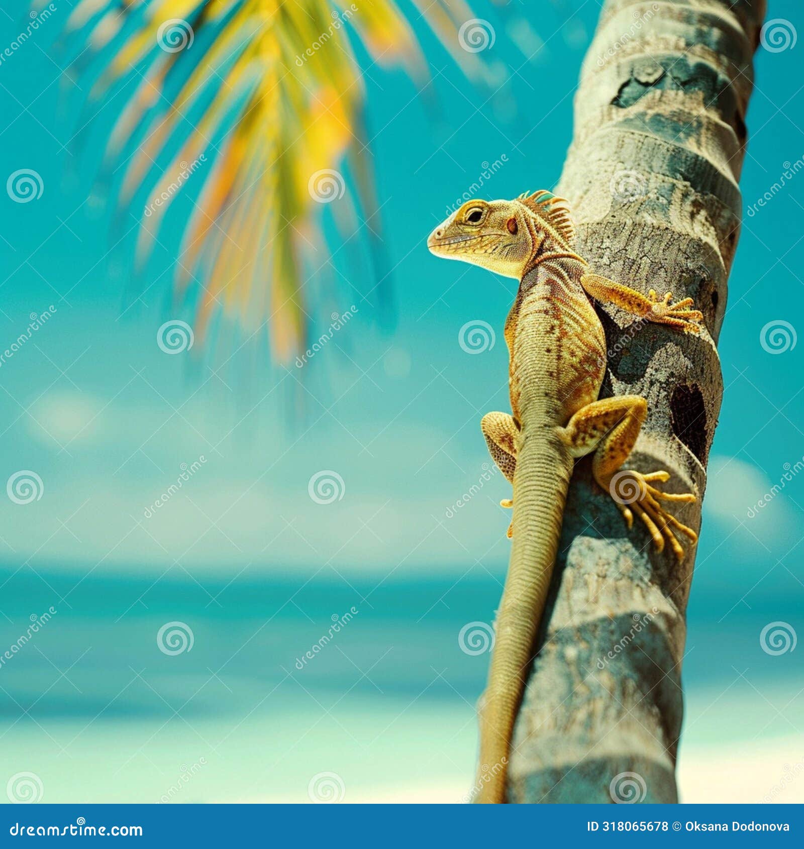 Illustration of a Beach with a Coconut Tree and the Sea.lizard on a ...
