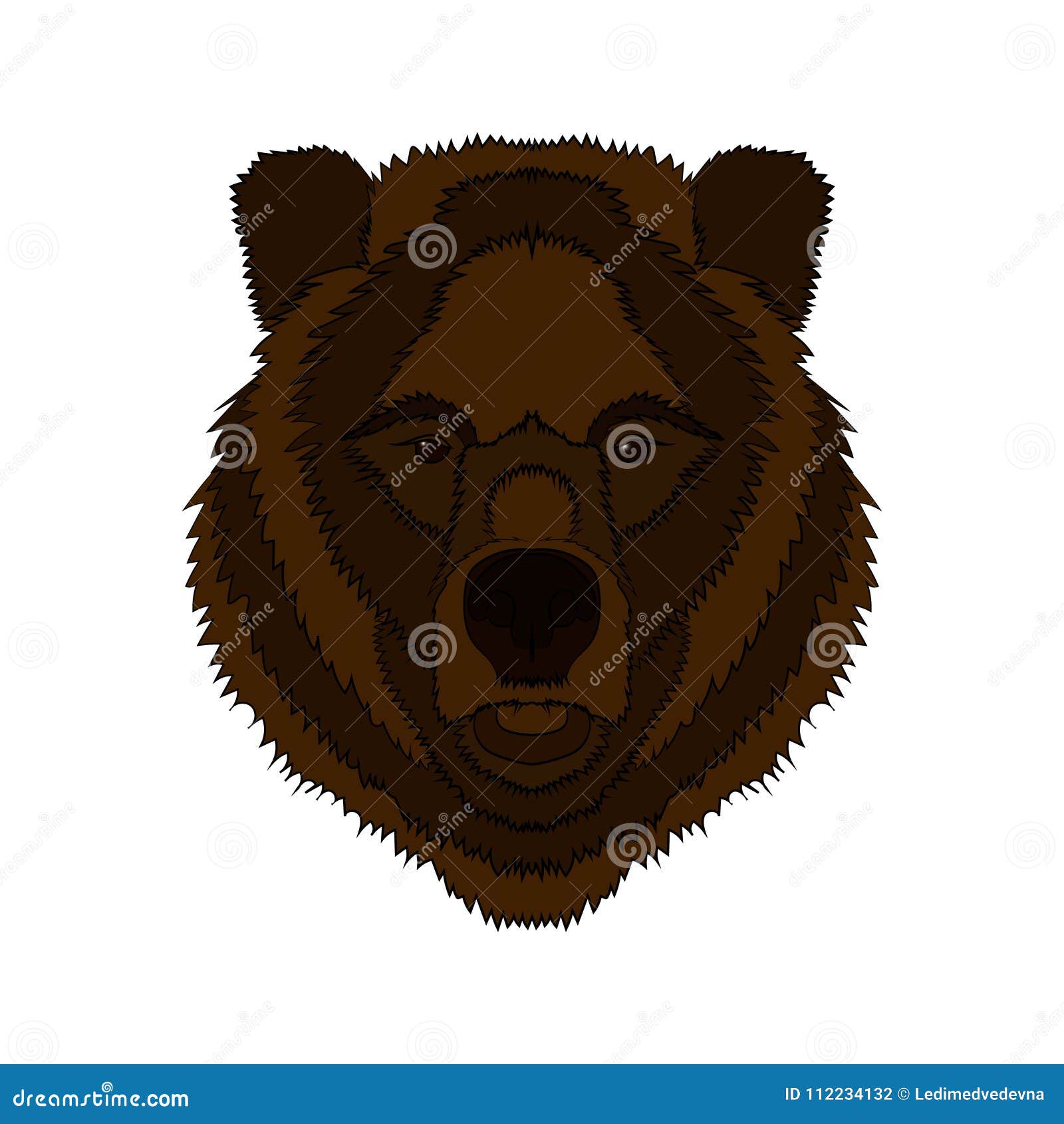 Illustration of a Bear S Head. Vector Graphics Stock Vector ...