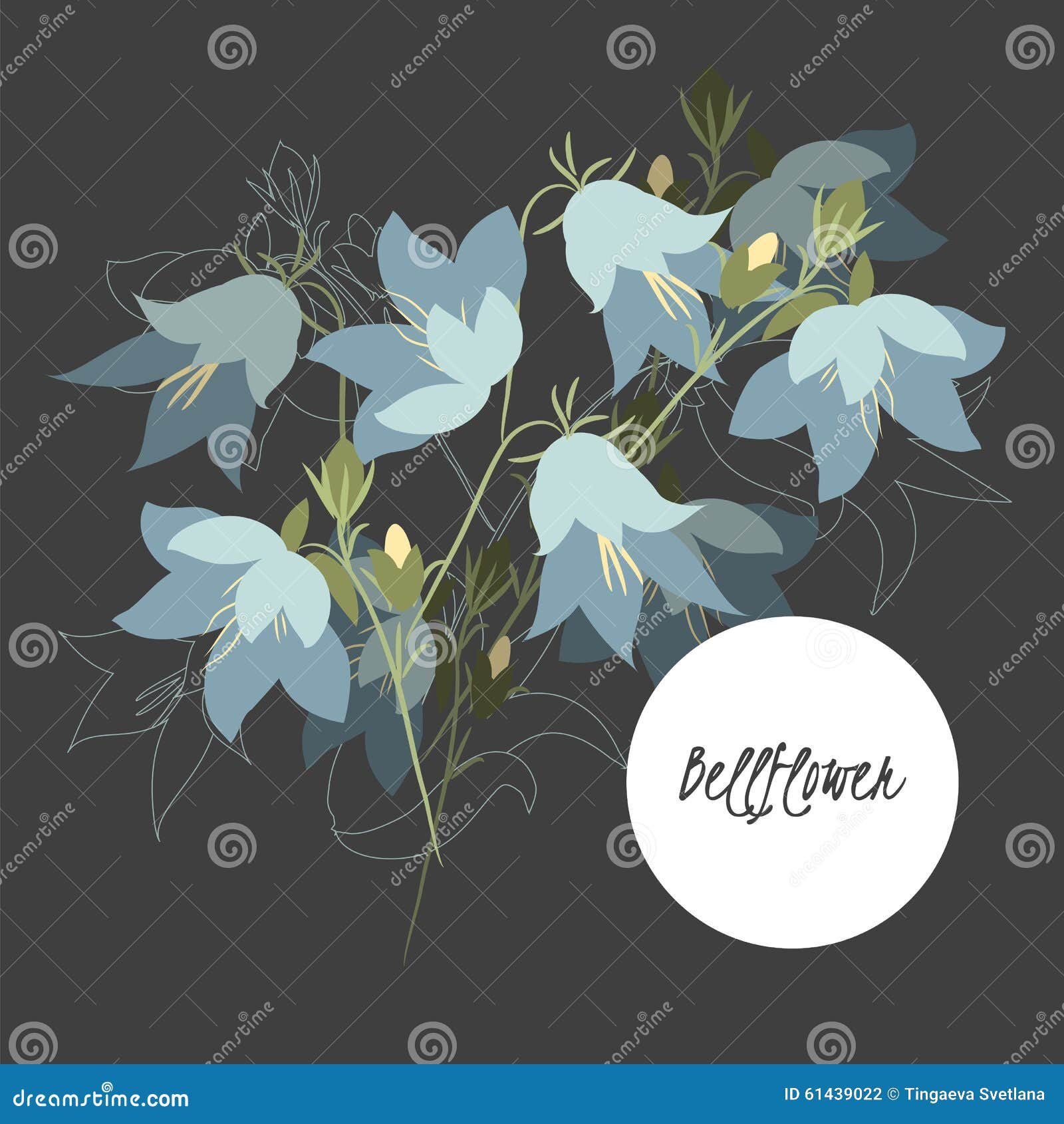 Illustration Bellflower Drawing, Easy Yellow Bellflower Drawing, Flower ...