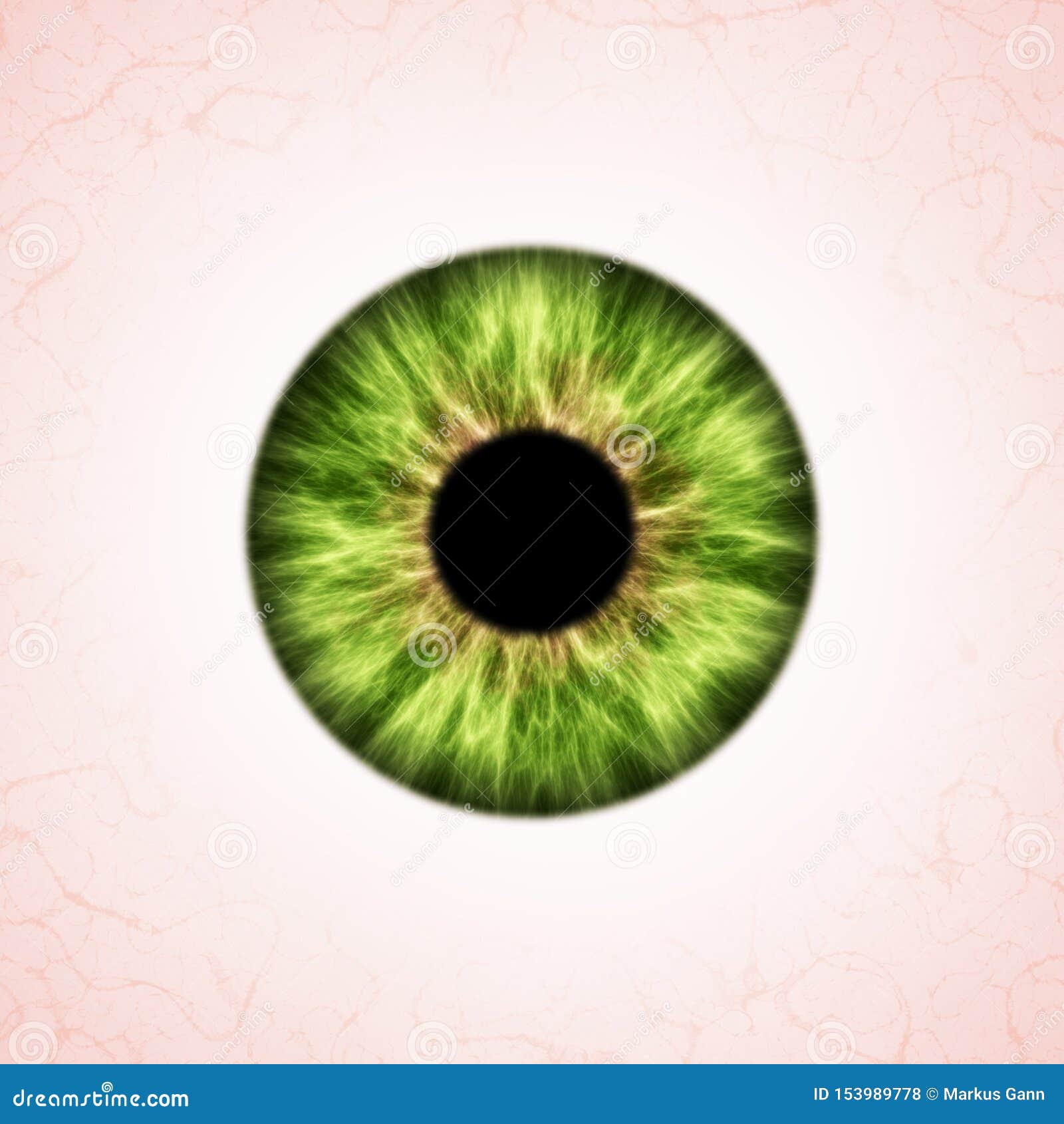 Green iris stock illustration. Illustration of anatomy - 153989778