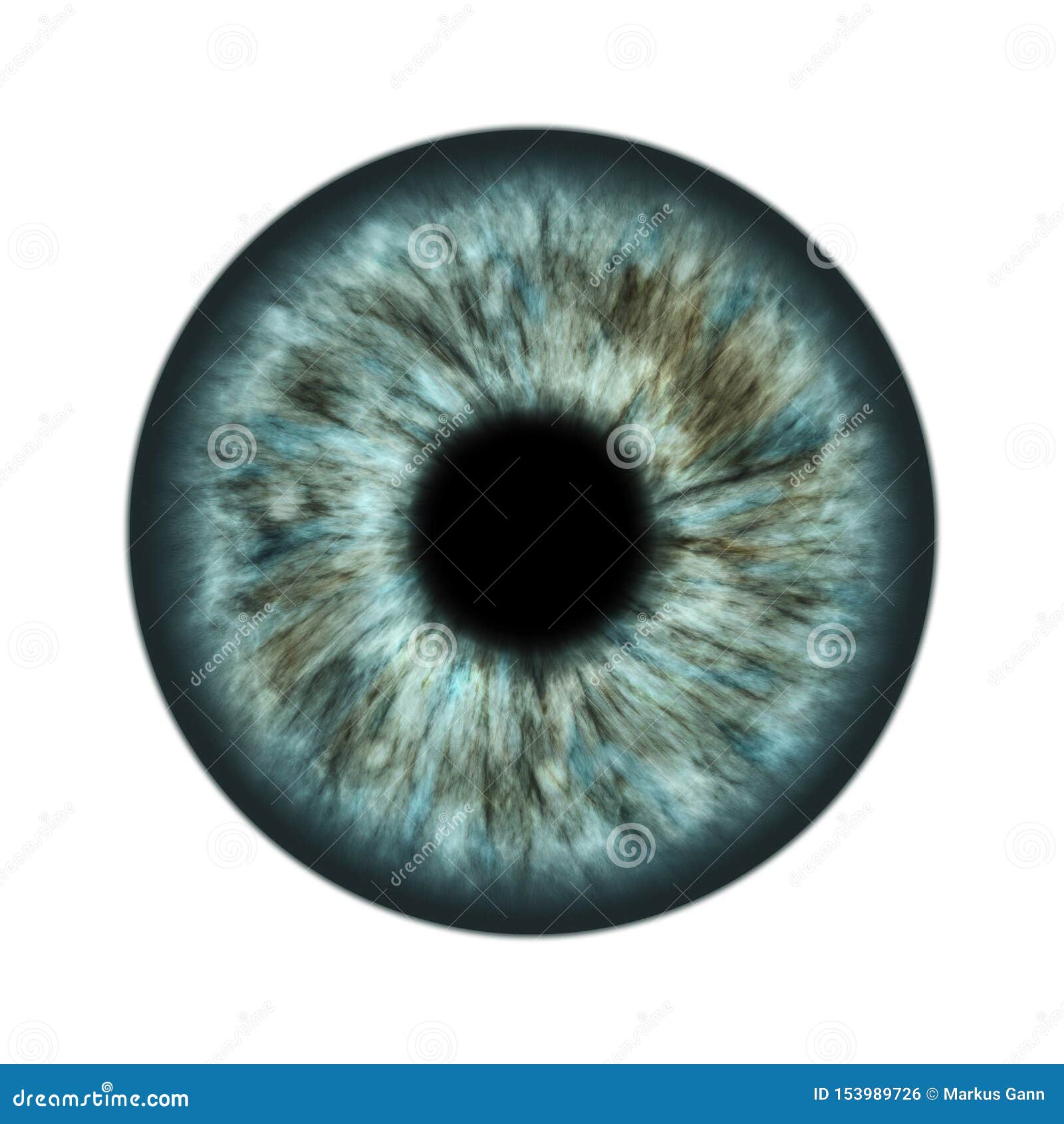 Grey iris stock illustration. Illustration of dilated - 153989726