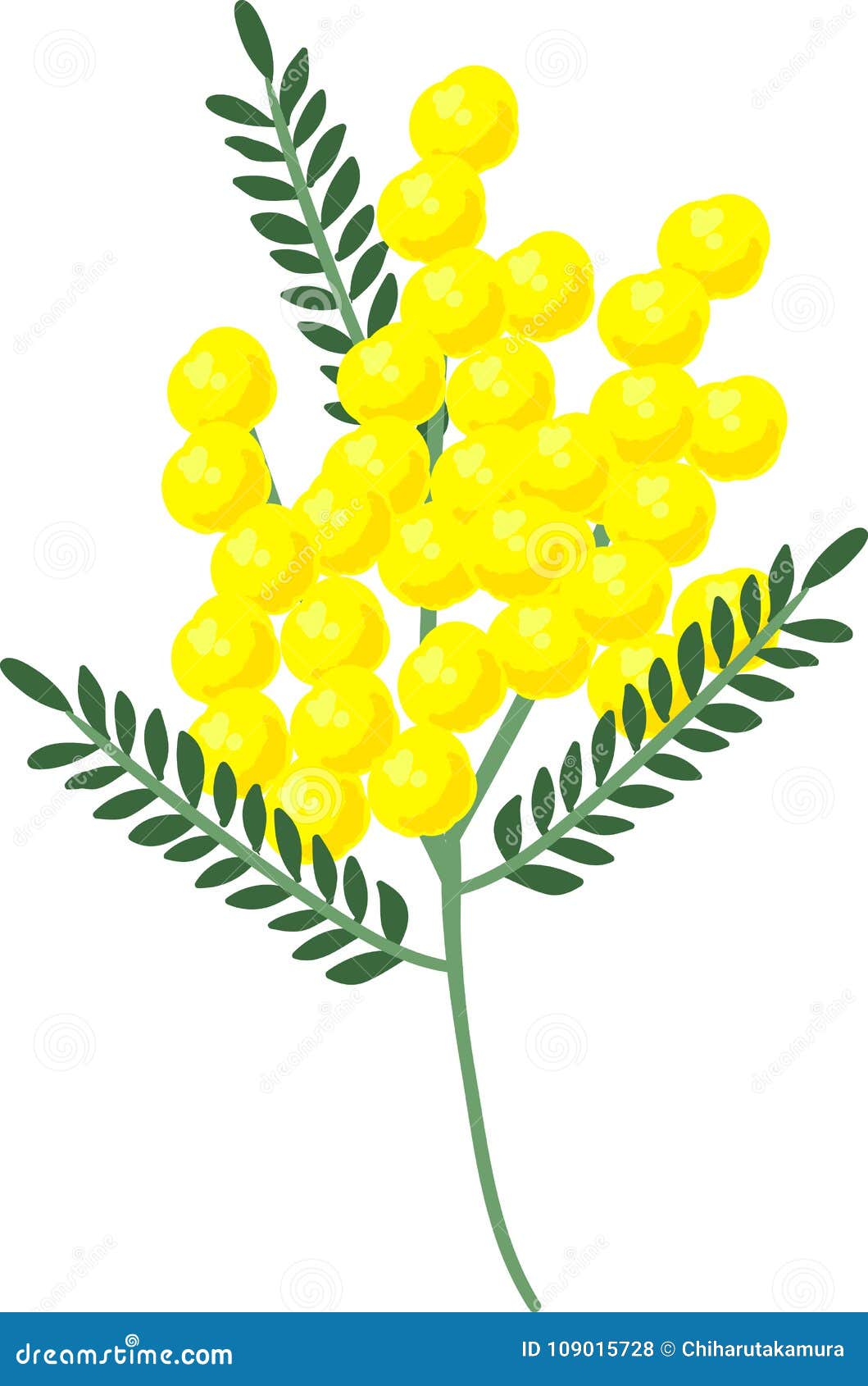 Mimosas Cartoons, Illustrations & Vector Stock Images - 319 Pictures to ...