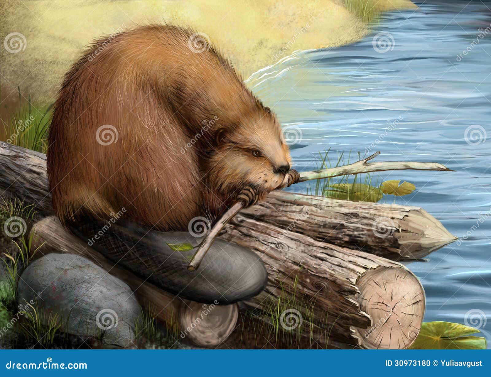 Illustration of Beaver Sitting on a Log Stock Illustration ...