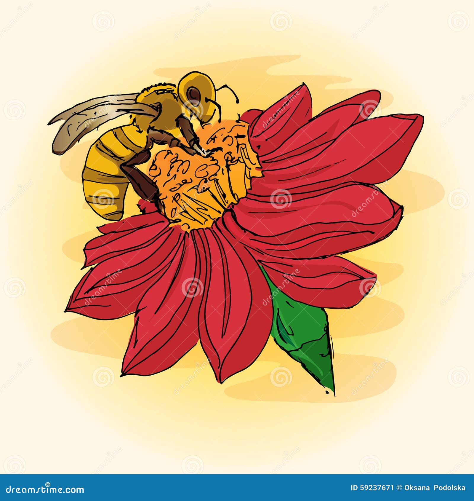 Flower Pollination Diagram Clipart Design. Flowers Reproduction ...