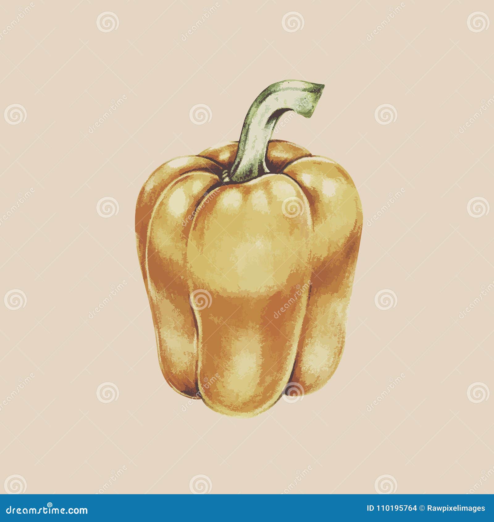 Illustration of Bell Pepper Drawing Style Stock Illustration ...