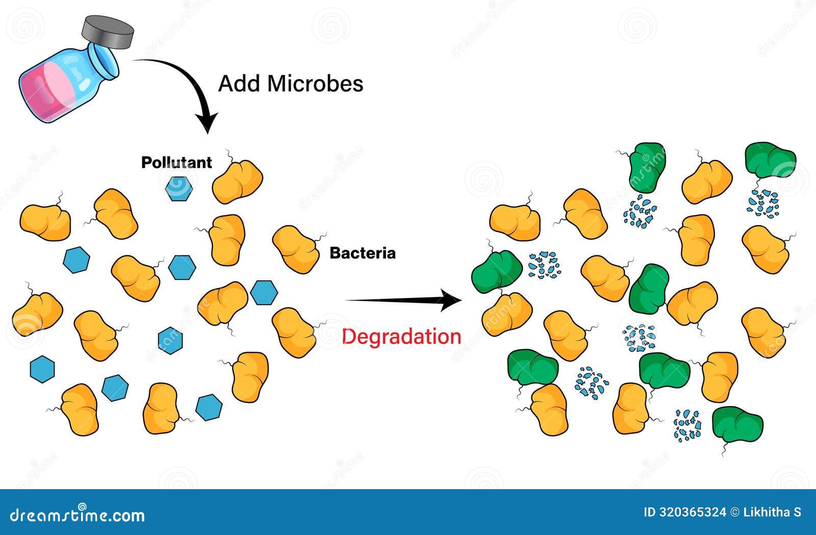 Illustration of Bioaugmentation Technique on White Background ...