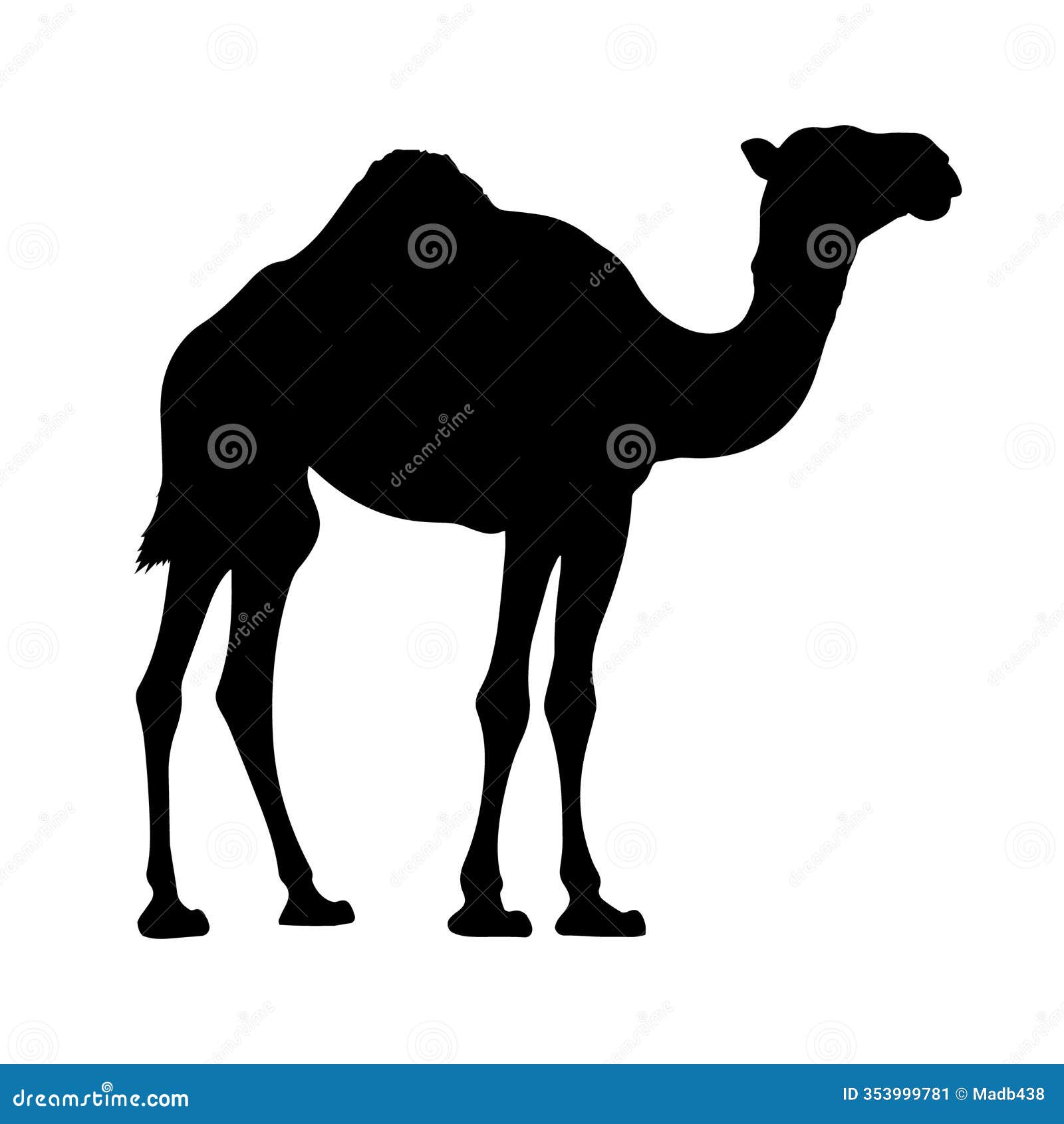 Illustration of a Black Camel Silhouette. Stock Illustration ...