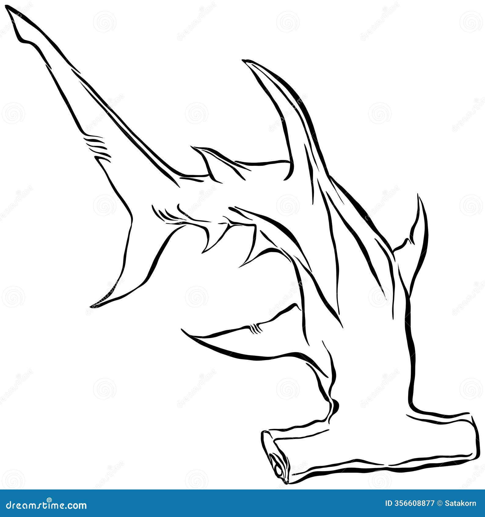 Illustration of Black Silhouette of a Hammerhead Shark Drawing Line ...