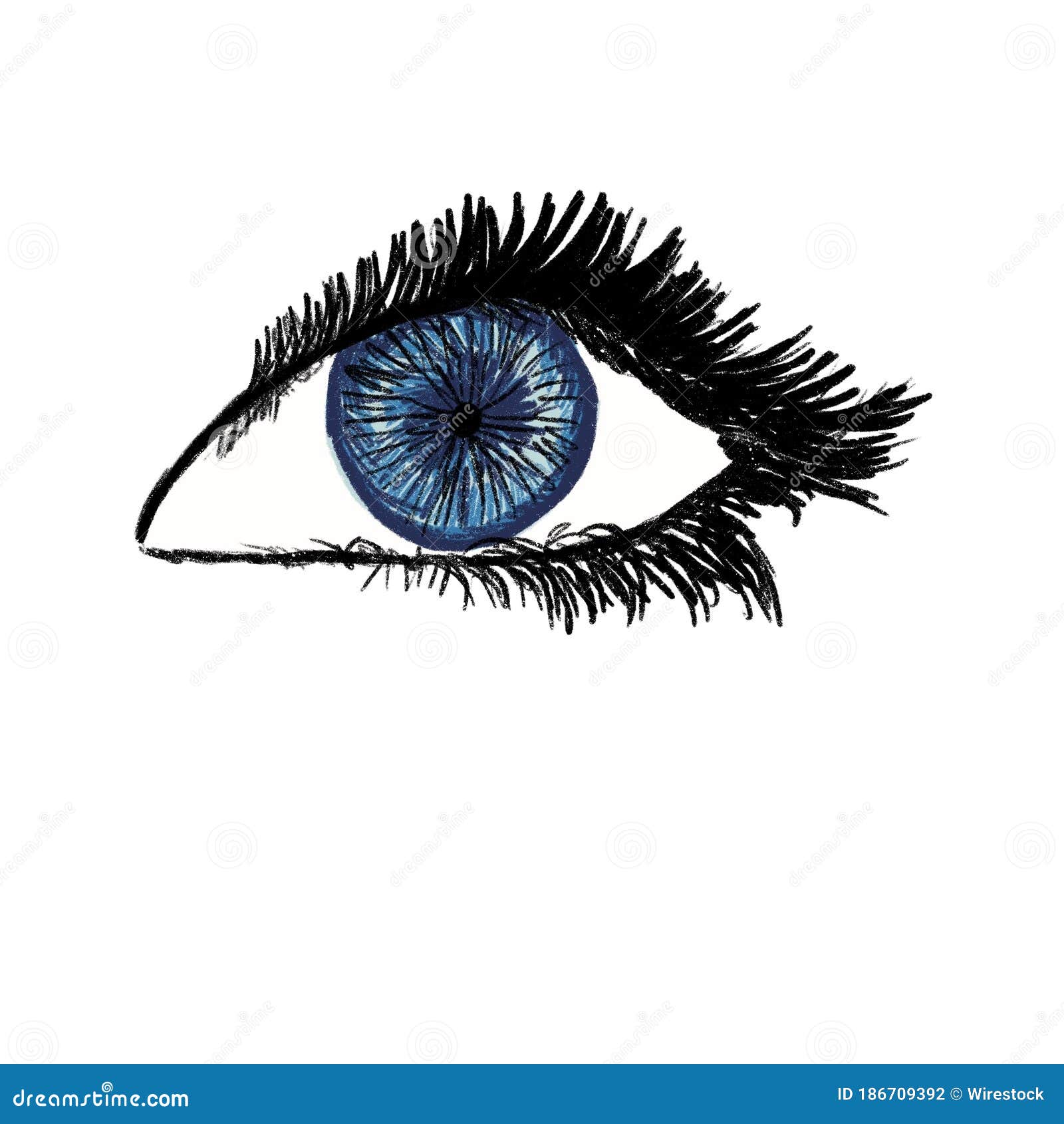 Illustration of a Blue Human Eye on a White Background Stock ...