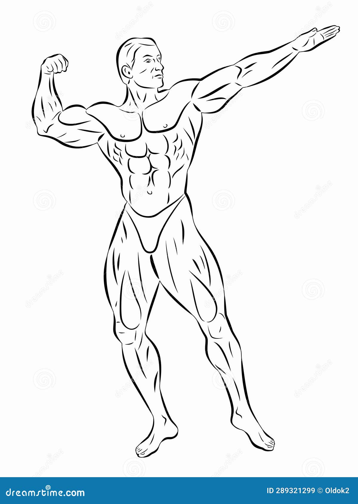 Illustration of Bodybuilder , Vector Drawing Stock Vector ...
